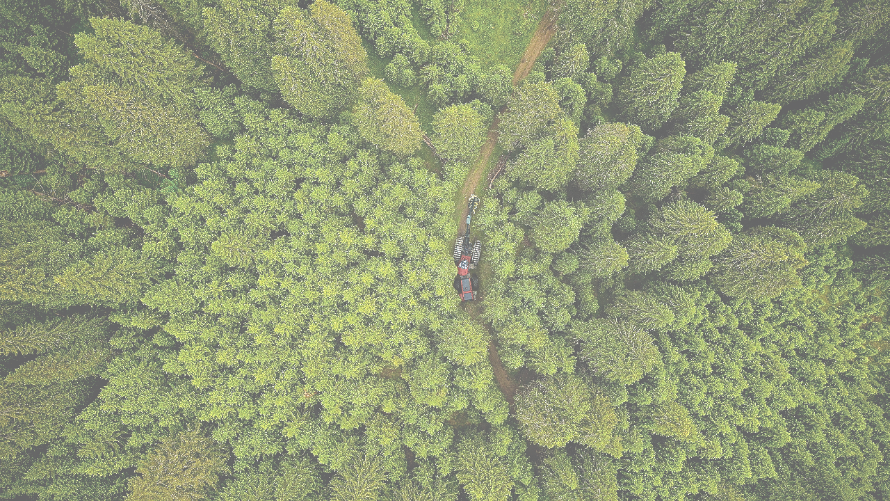 Shell PANOLIN 생분해성 윤활유 | Shell 대한민국