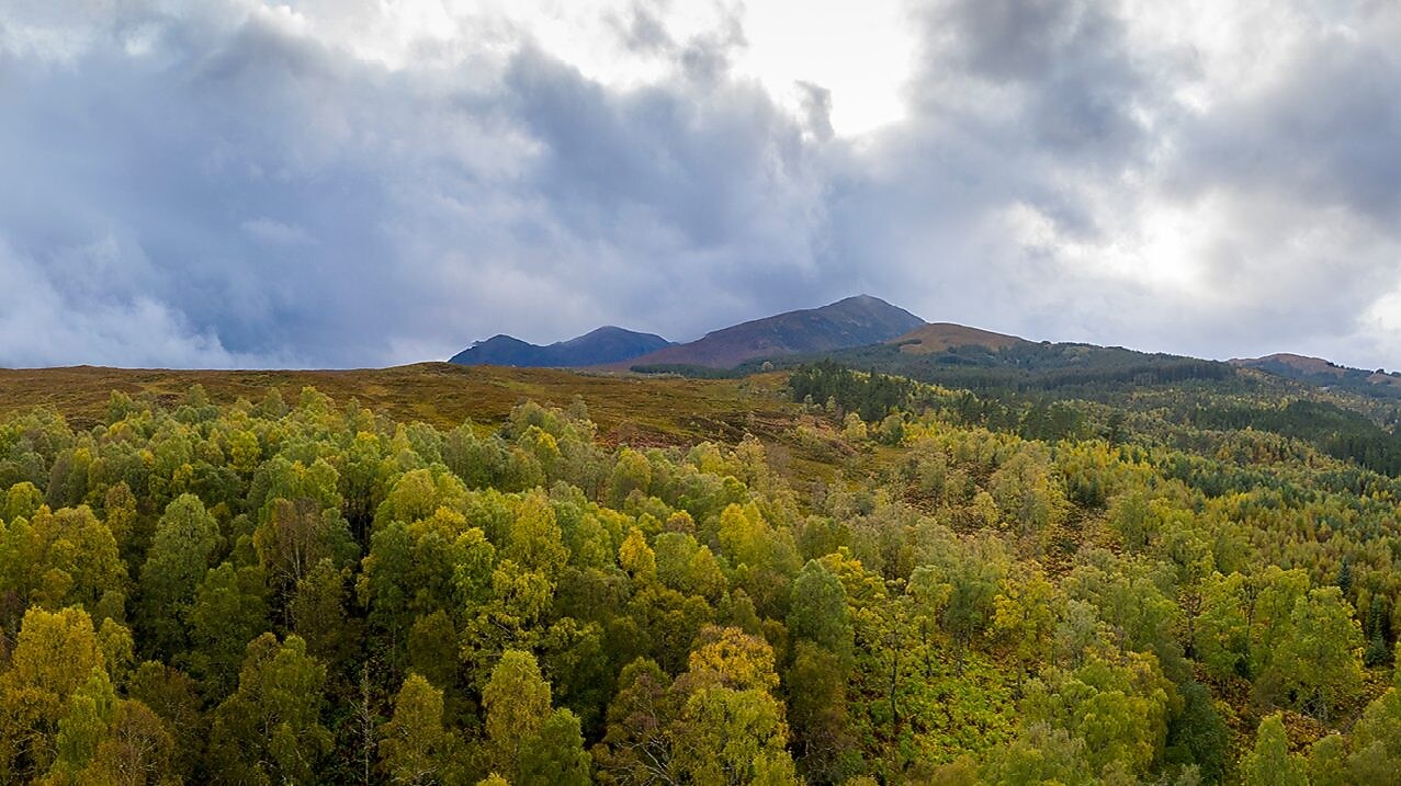 Shell PANOLIN - 자주 묻는 질문 | Shell 대한민국