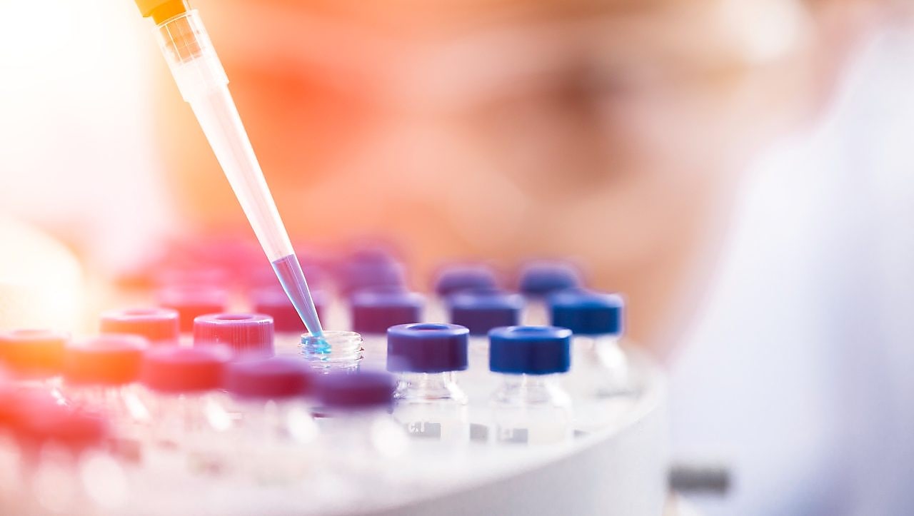 프로세스 오일 용도 | Shell 대한민국